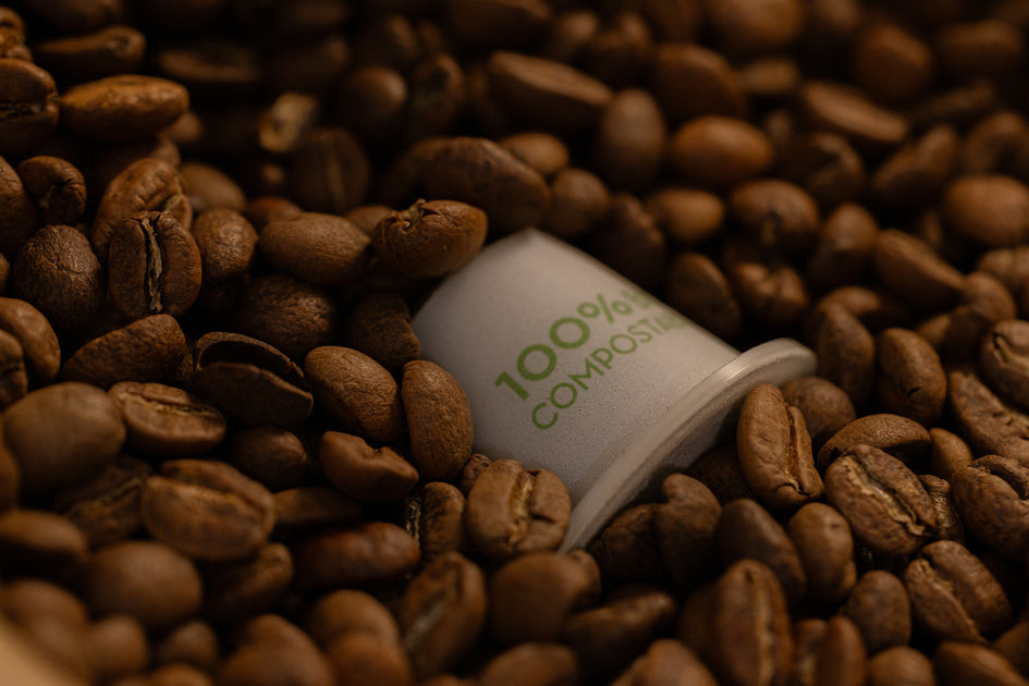 Galletas de Café Cafecitas